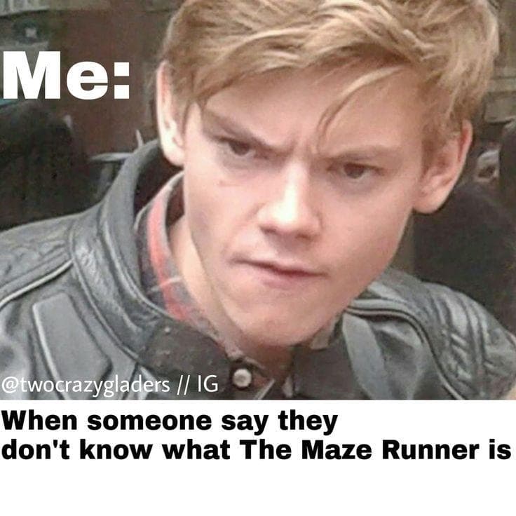 The 25 Funniest Maze Runner Memes, Ranked