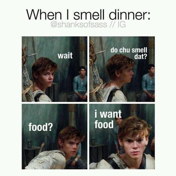 The 25 Funniest Maze Runner Memes, Ranked