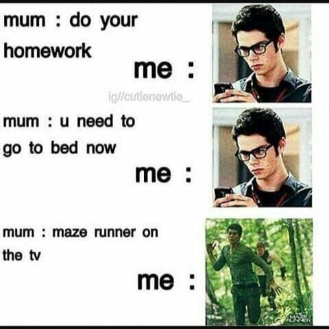 The 25 Funniest Maze Runner Memes, Ranked