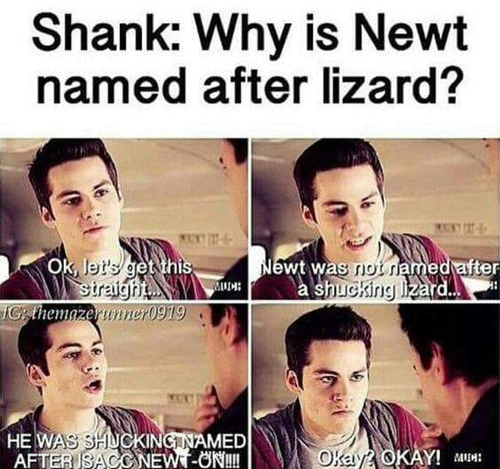 The 25 Funniest Maze Runner Memes, Ranked