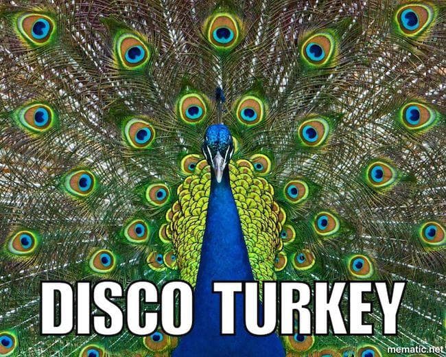 The 25 Funniest Disco Memes, Ranked