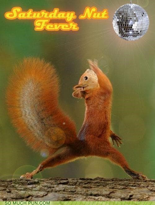 The 25 Funniest Disco Memes, Ranked