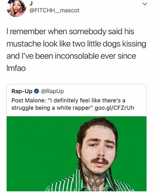 The 25 Funniest Post Malone Memes, Ranked