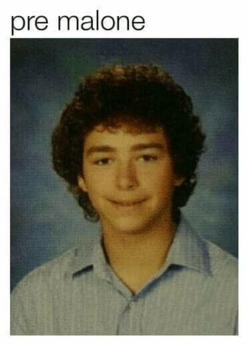 The 25 Funniest Post Malone Memes, Ranked