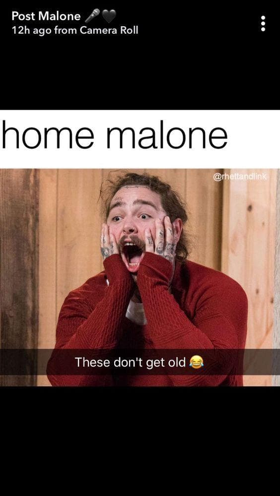 The 25 Funniest Post Malone Memes, Ranked