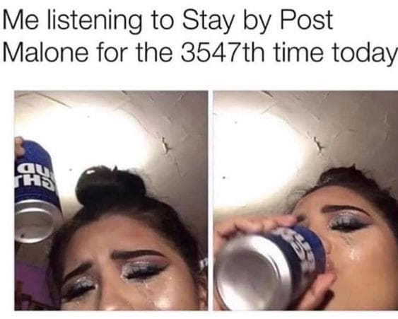 The 25 Funniest Post Malone Memes, Ranked