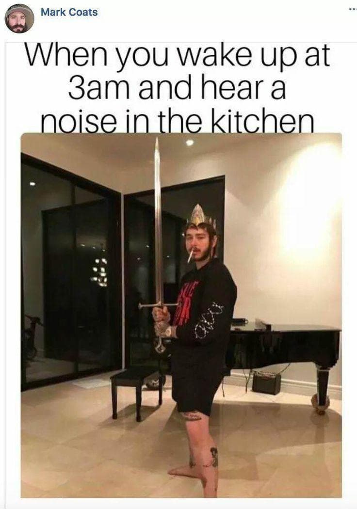 The 25 Funniest Post Malone Memes, Ranked