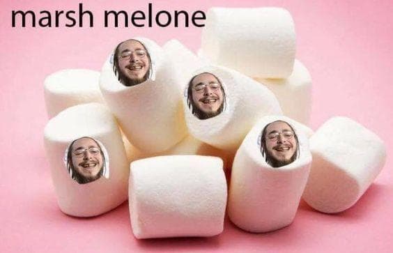 The 25 Funniest Post Malone Memes, Ranked
