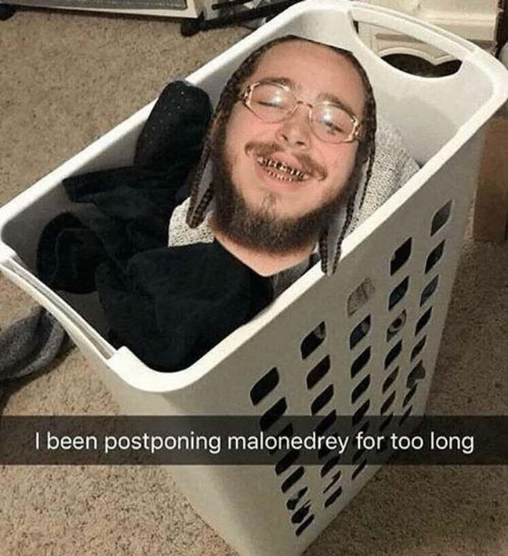 The 25 Funniest Post Malone Memes, Ranked