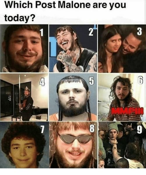 The 25 Funniest Post Malone Memes, Ranked