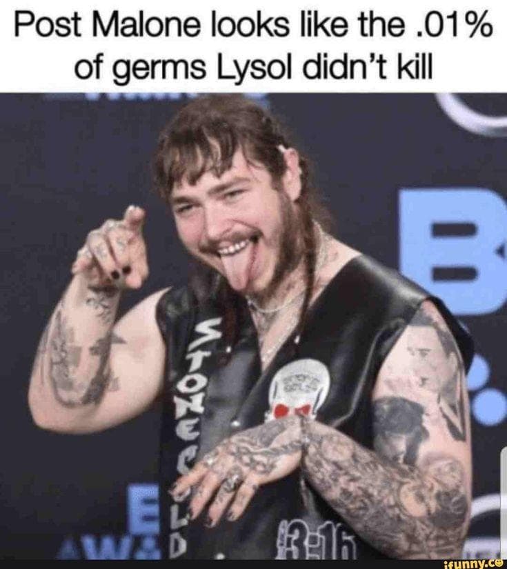 The 25 Funniest Post Malone Memes, Ranked