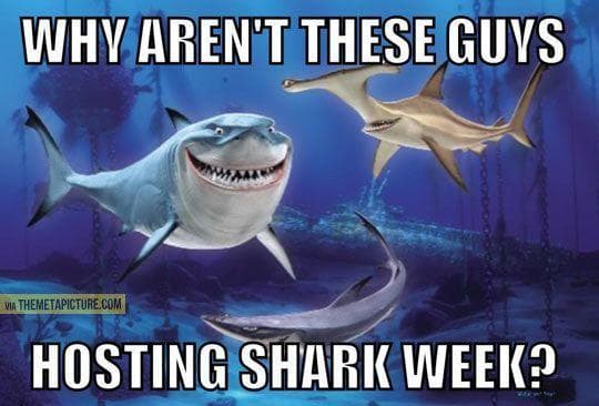 The 24 Funniest 'Finding Nemo' Memes, Ranked