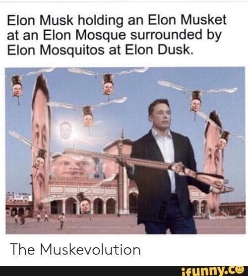 The 25 Funniest Elon Musk Memes, Ranked