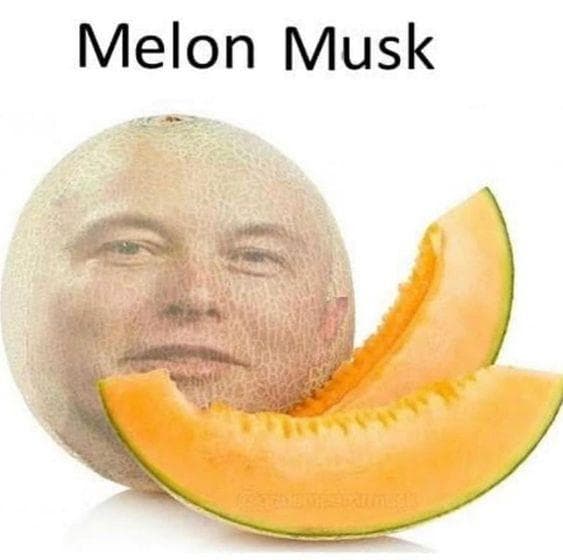 The 25 Funniest Elon Musk Memes, Ranked