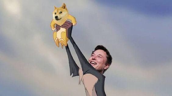 The 25 Funniest Elon Musk Memes, Ranked