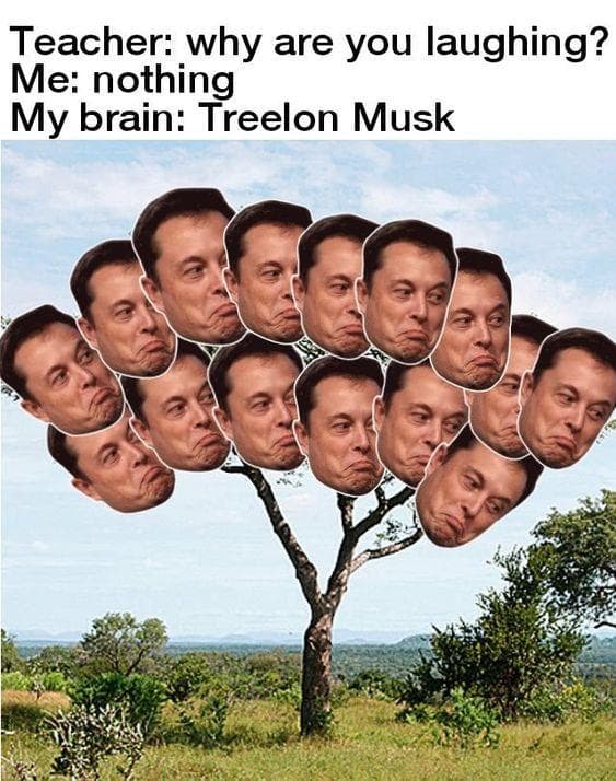 The 25 Funniest Elon Musk Memes, Ranked