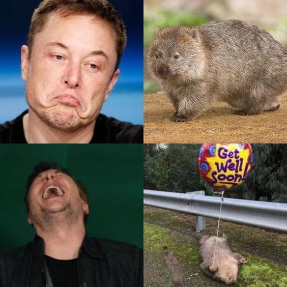 The 25 Funniest Elon Musk Memes, Ranked