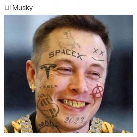 The 25 Funniest Elon Musk Memes, Ranked