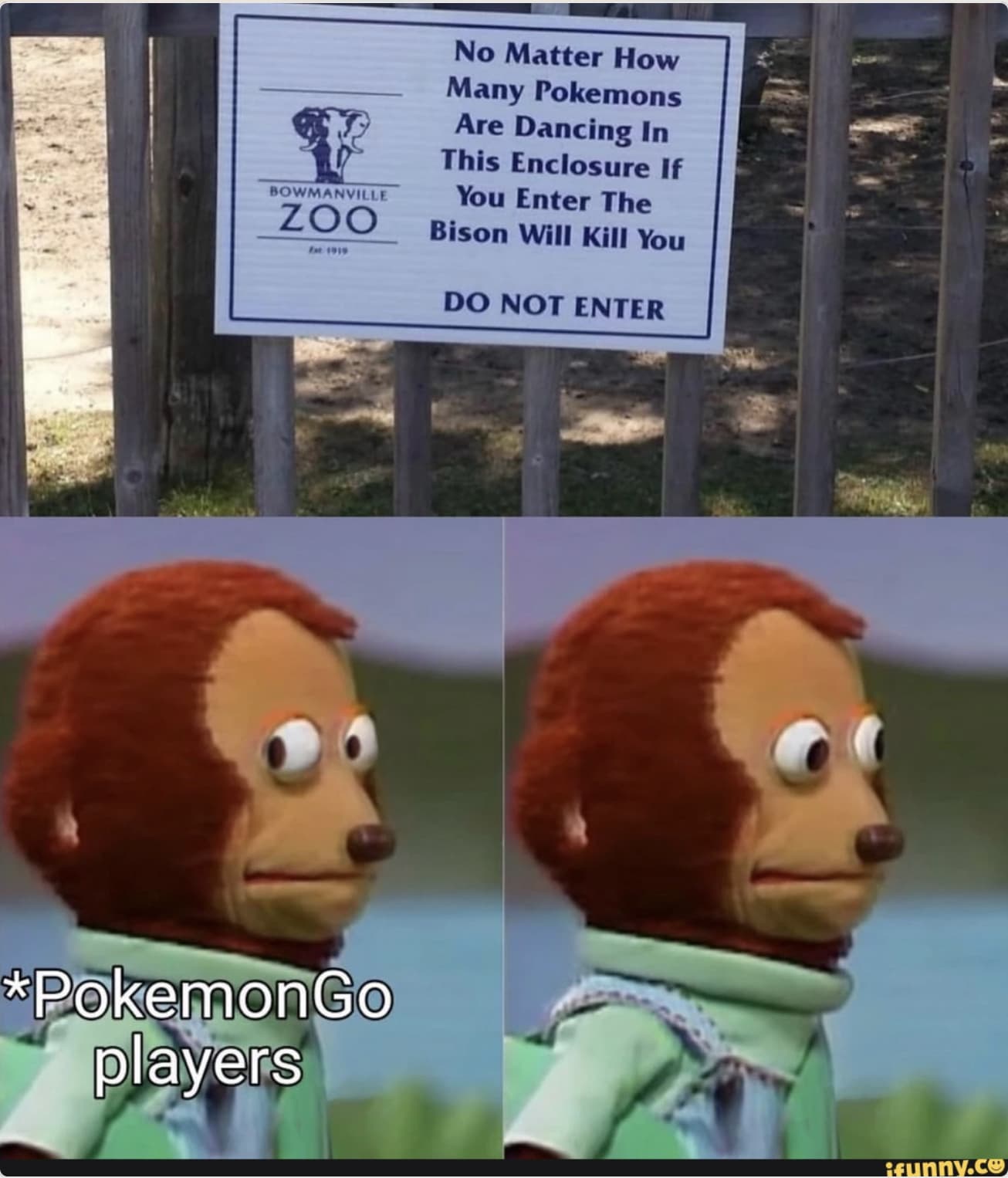 The 30 Funniest Bison Memes, Ranked