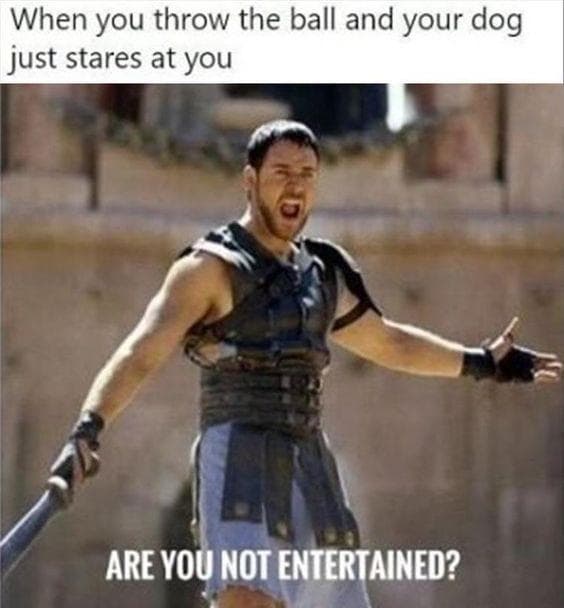 The 28 Funniest 'Gladiator' Memes, Ranked