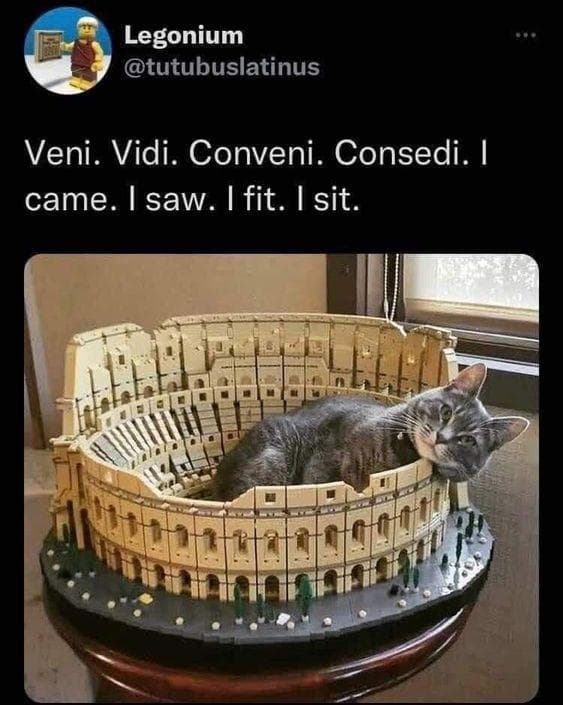 The 28 Funniest 'Gladiator' Memes, Ranked