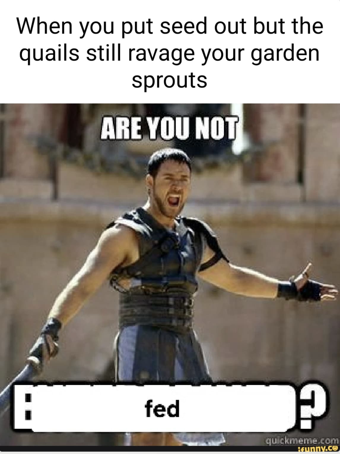 The 28 Funniest 'Gladiator' Memes, Ranked