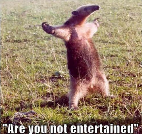 The 28 Funniest 'Gladiator' Memes, Ranked