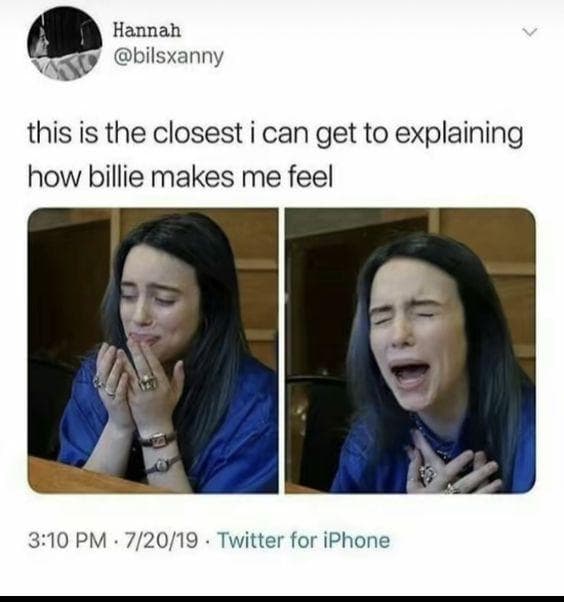 The 25 Funniest Billie Eilish Memes, Ranked