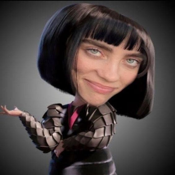 The 25 Funniest Billie Eilish Memes, Ranked