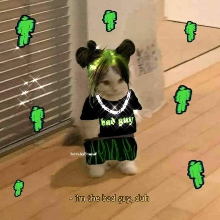 The 25 Funniest Billie Eilish Memes, Ranked