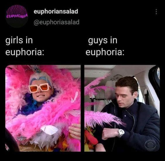The 30 Funniest 'Euphoria' Memes, Ranked