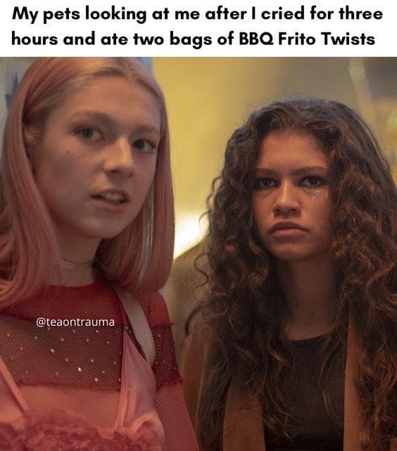 The 30 Funniest 'Euphoria' Memes, Ranked