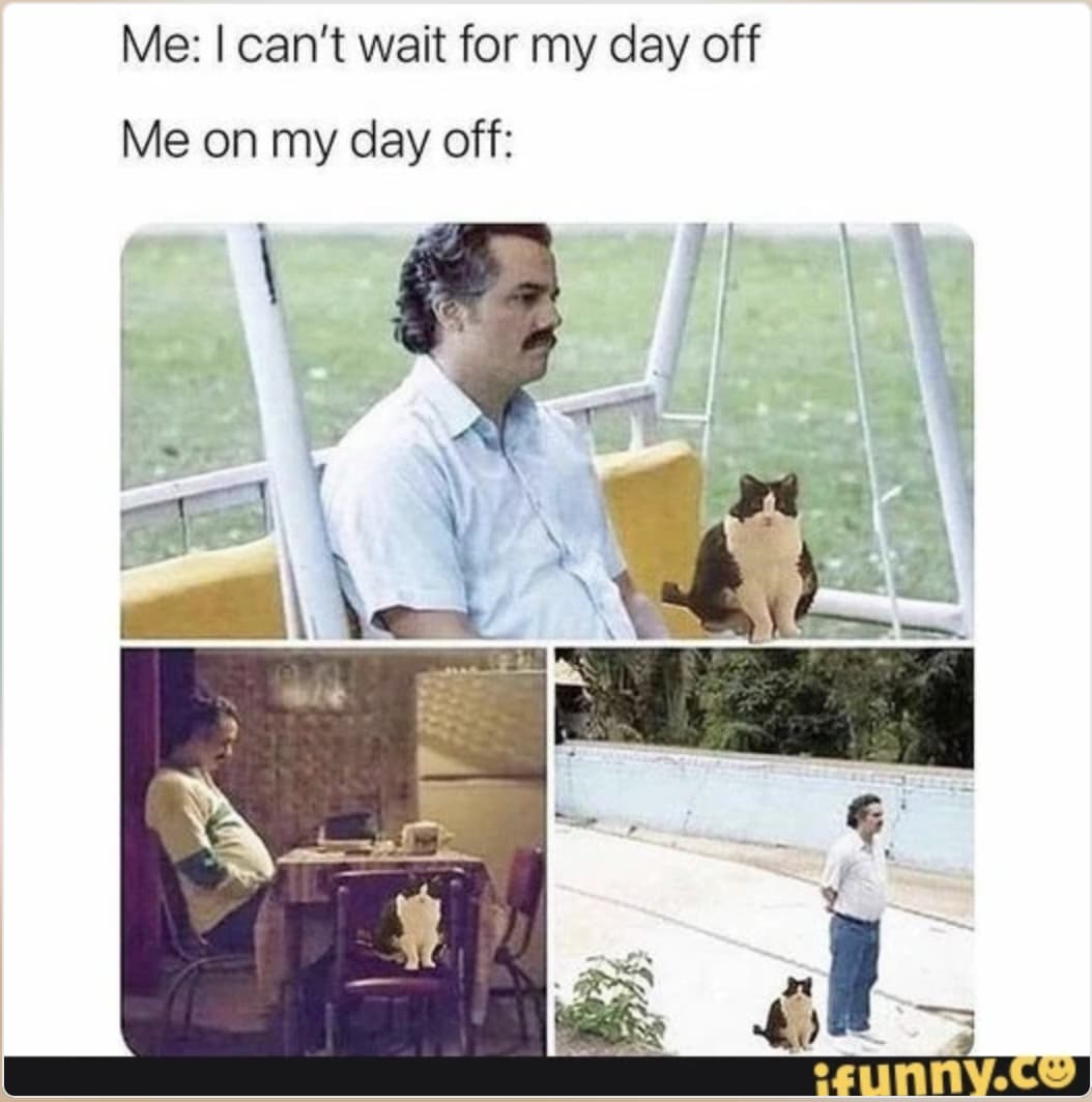 The 29 Funniest 'Narcos' Memes, Ranked