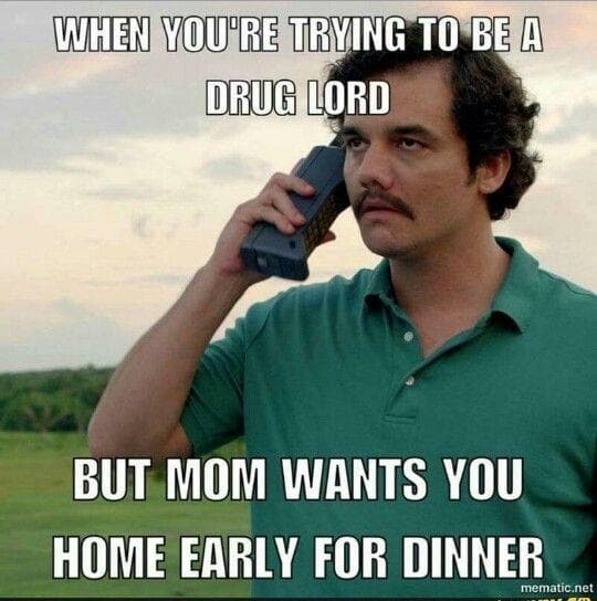 The 29 Funniest 'Narcos' Memes, Ranked