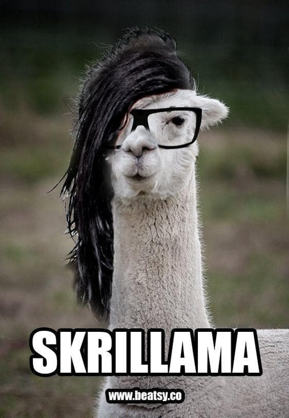 The 25 Funniest EDM Memes, Ranked