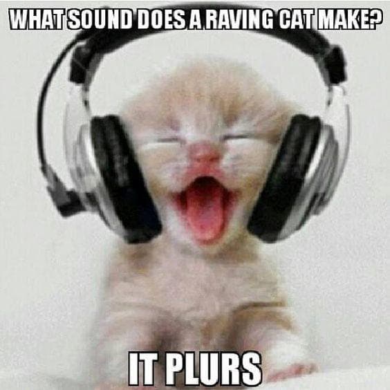 The 25 Funniest EDM Memes, Ranked