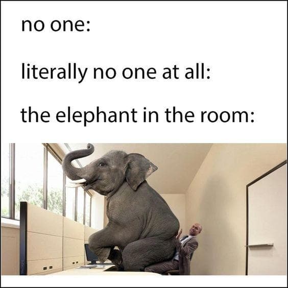 The 28 Funniest Elephant Memes, Ranked
