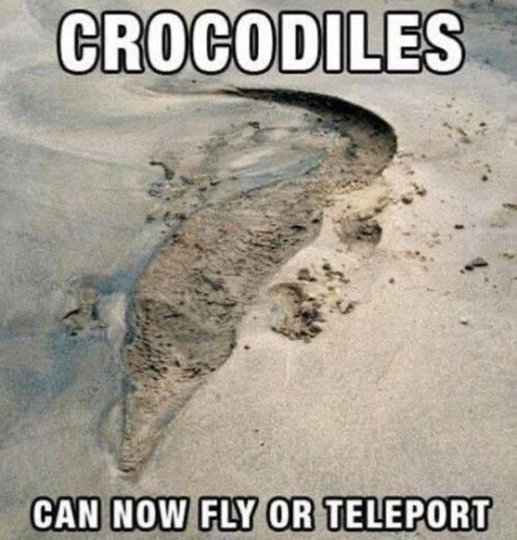 The 30 Funniest Crocodile Memes, Ranked