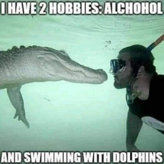 The 30 Funniest Crocodile Memes, Ranked