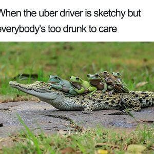 The 30 Funniest Crocodile Memes, Ranked