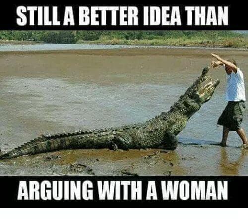 The 30 Funniest Crocodile Memes, Ranked