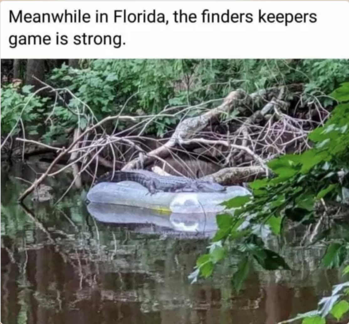 The 30 Funniest Crocodile Memes, Ranked