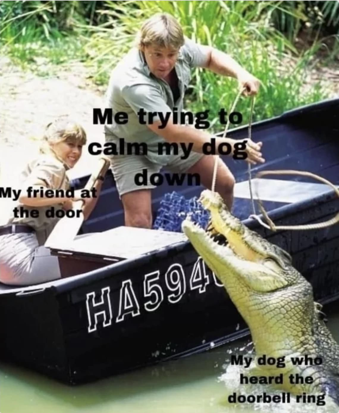 The 30 Funniest Crocodile Memes, Ranked