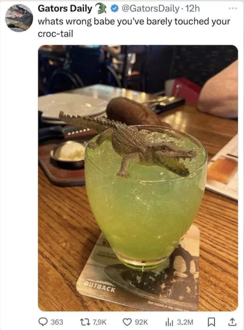 The 30 Funniest Crocodile Memes, Ranked