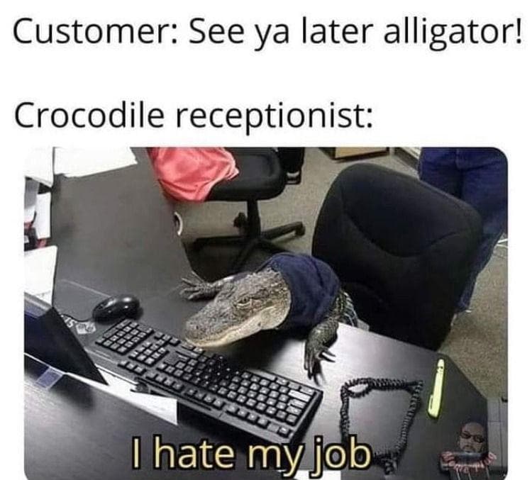 The 30 Funniest Crocodile Memes, Ranked
