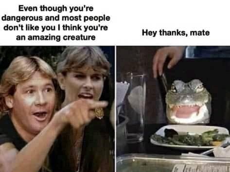 The 30 Funniest Crocodile Memes, Ranked