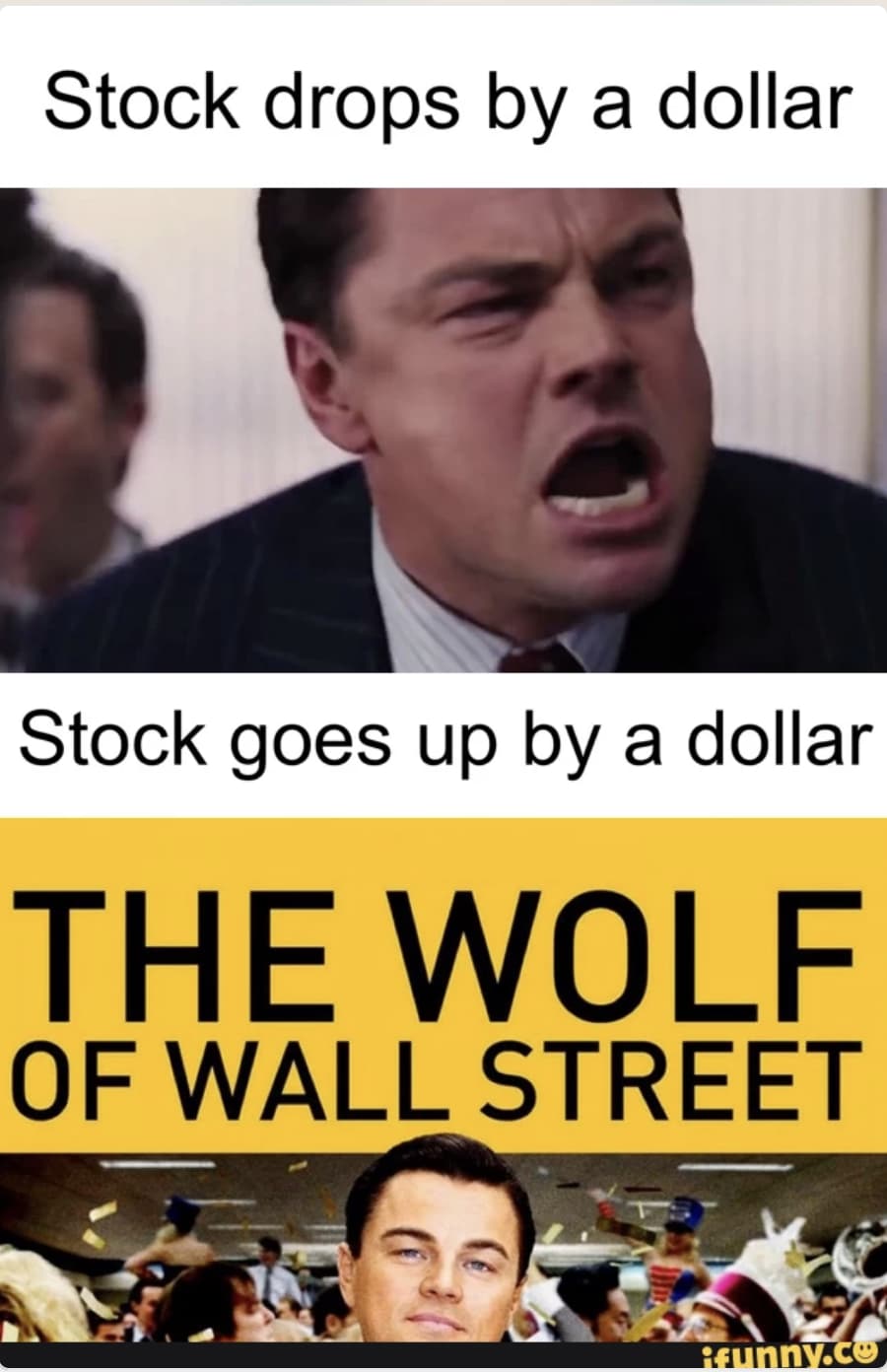 The 29 Funniest 'The Wolf of Wall Street' Memes, Ranked