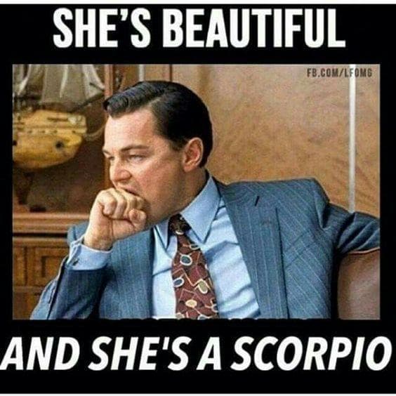 The 29 Funniest 'The Wolf of Wall Street' Memes, Ranked