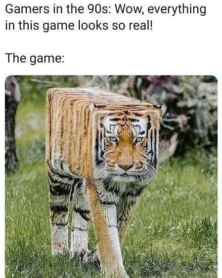 The 30 Funniest Tiger Memes, Ranked