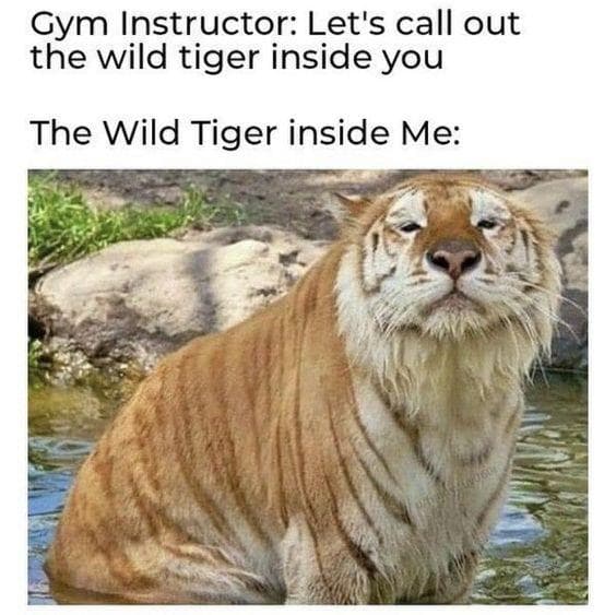 The 30 Funniest Tiger Memes, Ranked